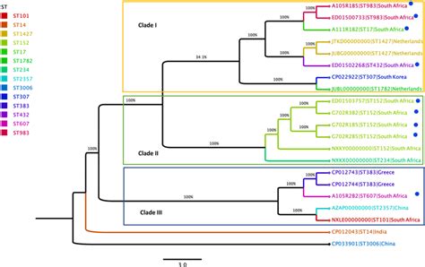 Phylogeny Based On Core Genome Multilocus Sequence Typing Genes Of 21 Download Scientific