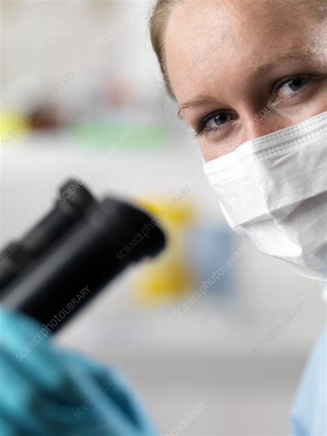 Microscope Use Stock Image F Science Photo Library