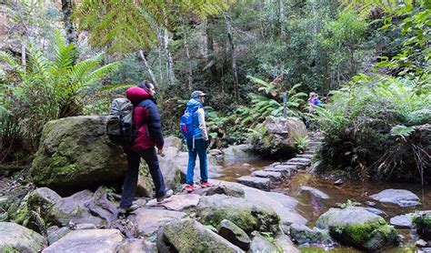Rodriguez Pass Walking Track Nsw National Parks