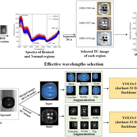 Flow Chart Of Bruise Detection In Apples Using Traditional Detection