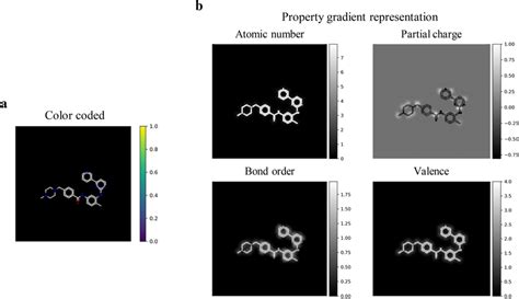 Molecular Image Representations Of Imatinib Two Image Representations Download Scientific