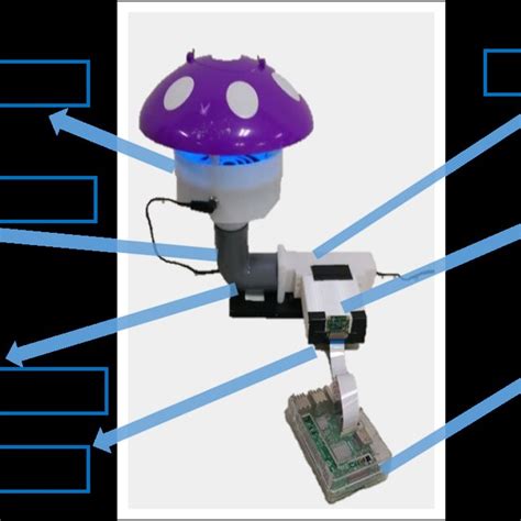 Pdf A Vector Mosquitoes Classification System Based On Edge Computing And Deep Learning