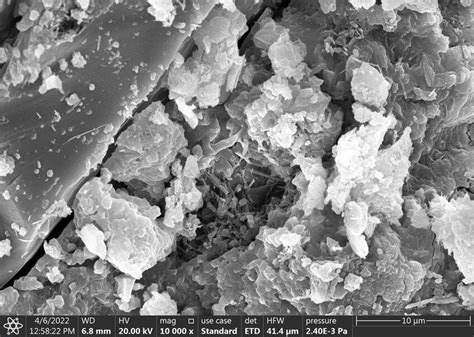 Sem Image Of Bacteria Cell Present In Sample C1 Download Scientific Diagram