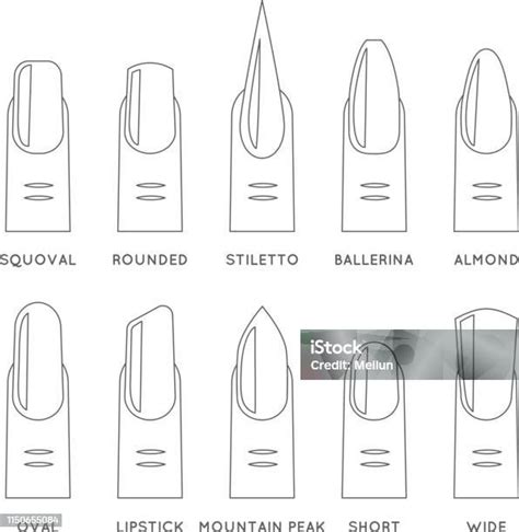 개요 선화 자연 패션 트렌드 여성 네일 매니큐어 모양 형태 고립 된 아이콘 설정 디자인 벡터 일러스트 레이 션 0명에 대한 스톡 벡터 아트 및 기타 이미지 Istock