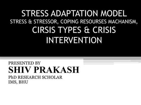 Stress Adaptation Model Pptx Mental Health Diseases And Conditions