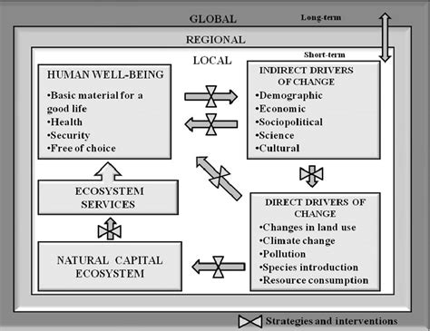 Ecosystem Services Conceptual Framework Source Ma 2005 Download Scientific Diagram
