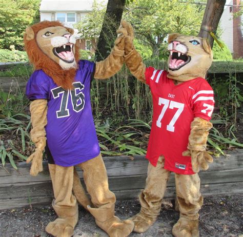 Laurel Tree Academy Laurel Tree Academy Mt Laurel Nj