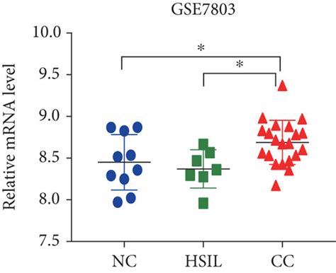 Cyclin Dependent Kinase 12 Cdk12 Overexpression And Its Correlation Download Scientific