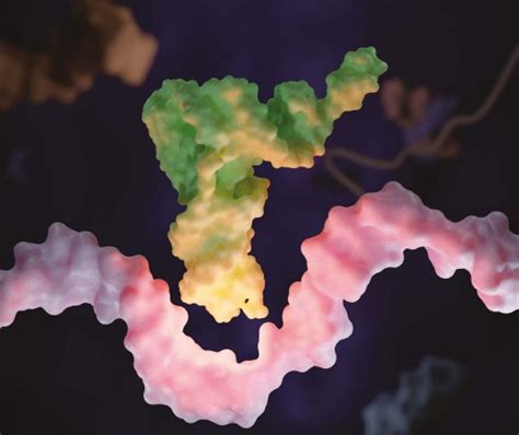 为什么rna结构如此难以预测？ 生命奥秘