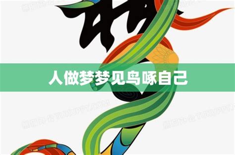 人做梦梦见鸟啄自己 命理解梦