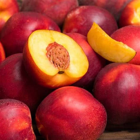 Nectarine Tree Prunus Persica Var Nucipersica Nectarine