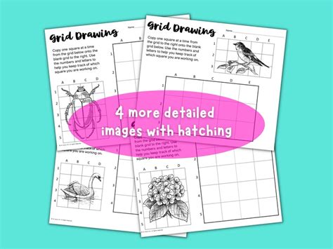 Spring Grid Drawing Worksheets Flowers Birds Bugs Grid Method Art