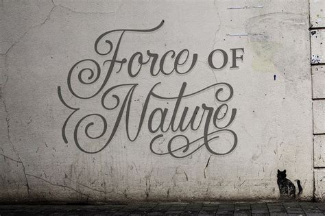 Rosaline Script Font Affiliate AD Rosaline Script Font Script Fonts Merchandise