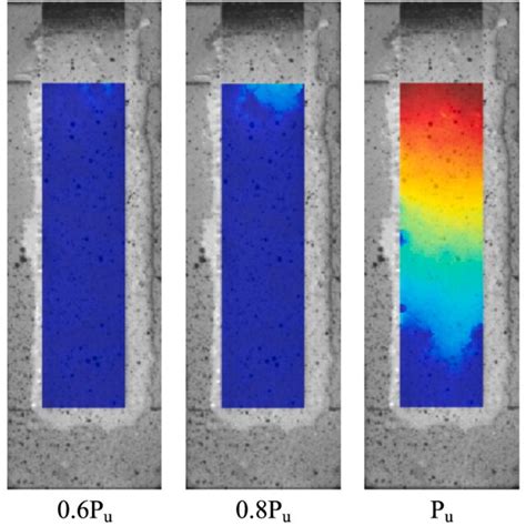 Strain Distribution Patterns Download Scientific Diagram