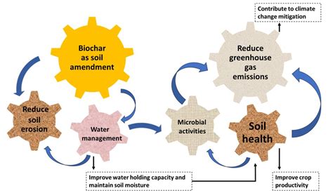 Application Of Biochar In Agricultural Systems Alabama Cooperative Extension System