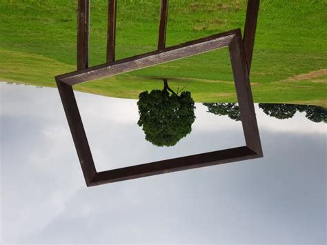 포토갤러리 알림·홍보 올림픽공원