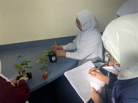 20220812 Years 6 And 7 Science Missing Campus Cssc