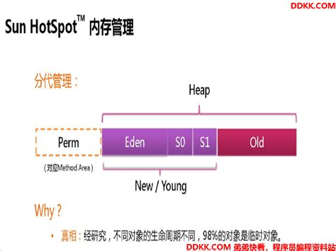 Jvm 调优实战 Jvm虚拟机 与 Gc 垃圾回收 弟弟快看 教程