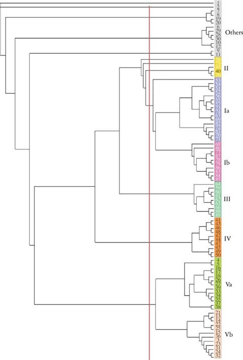 Dendrogram Obtained From The Euclidean Distances Matrix Calculated By