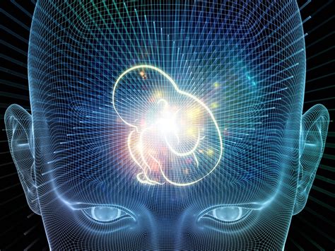 The Crucial Role Of Dha In Brain Development And Cognitive Health