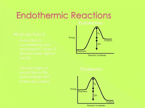 Compare Endothermic And Exothermic Using The Venn Diagram Ex