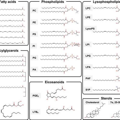 Gpcrs For Lysophospholipids A Gpcr‐type Receptors For Download Scientific Diagram