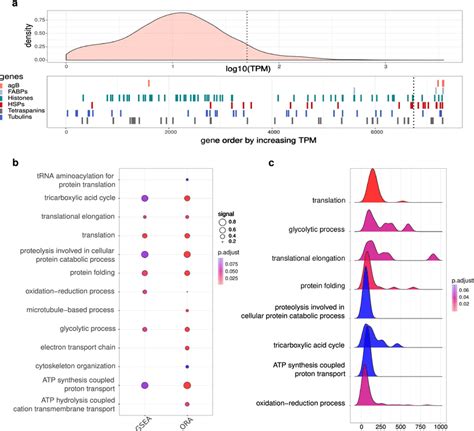 Gene Expression Of E Multilocularis Primary Cells A Density Plot Of Download Scientific