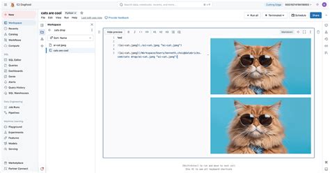Images In The Databricks Notebook My Vivid Summer Internship