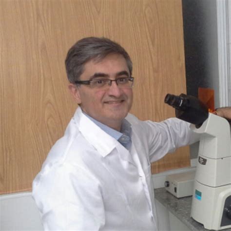 mohammad shafiee assistant professor ph d department of medical genetics research profile