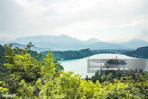 레이크 블레드 슬로베니아 작은 순례 교회와 아름다운 산 호수 가장 유명한 슬로베니아 호수와 순례 교회와 섬 블레드 0명에 대한 스톡 사진 및 기타 이미지 Istock