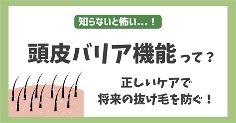 頭皮のバリア機能とは？カサカサ・フケ・かゆみの原因。放置すると抜け毛にもつながる Myロットコスメ