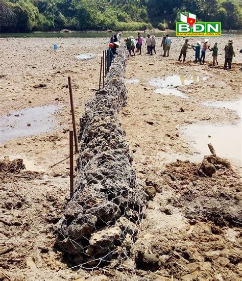 Quảng Phú Ngăn Sông để Chống Hạn Cho Cây Trồng