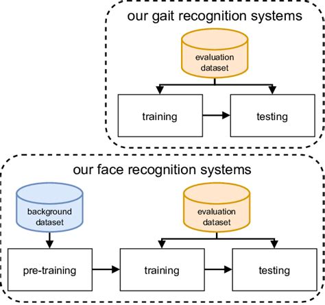 Dataset Use Through The Phases Of Our Recognition Systems For Face And