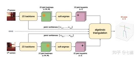 2020人体骨骼关键点检测综述笔记（有空更新） 知乎
