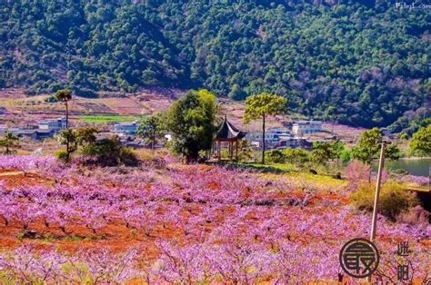 云县头道水桃花岛 云县桃花岛图片 大山谷图库
