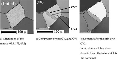 Domain Effect On Selection Variant Download Scientific Diagram