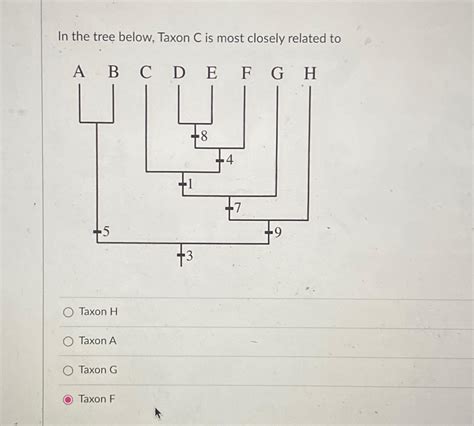 Solved In The Tree Below Taxon C Is Most Closely Related
