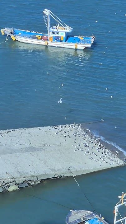 우리 동네에 목란이 활짝 피어 봄의 아름다움이 퍼져나가고 있어요ෆ˃̶͈̑ ˂̶͈̑ෆ 함께 봄을 즐기며 행복한 시간 보내세요˚₊·—̳͟͞͞♥ Youtube