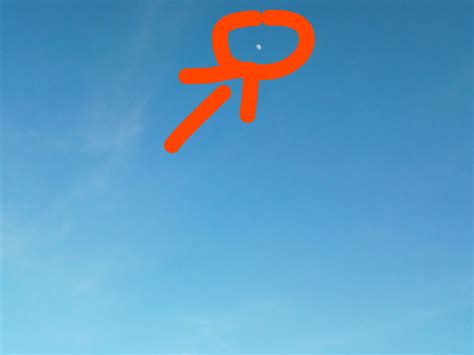 Overview For Coco Vore