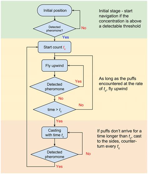 flow chart of the search navigation algorithm download scientific