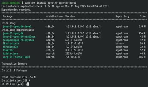 How To Install Java On Almalinux 10 A Step By Step Guide