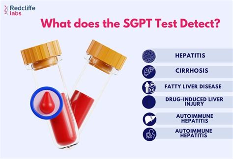 Sgpt Alt Test Price Normal Range And Report Guide