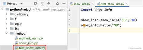 Python入门（七）函数python编写一个无参数有返回值的函数该函数实现123100的和调用该函数输 Csdn博客