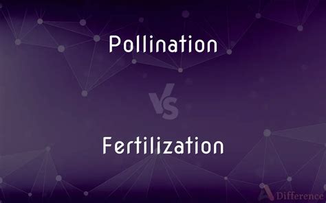 Pollination Vs Fertilization — Whats The Difference