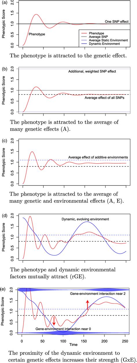 Components Of The Dynamical Gene By Environment Simulation Adding Download Scientific Diagram