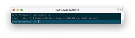 Upgrade The Mariadb Version On Centos Web Panel With 3 Steps