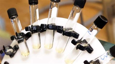 Wada Revokes Accreditation Of Two Labs Sbs News