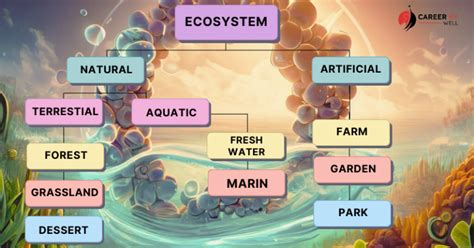 Types Of Ecosystems CareerByWell