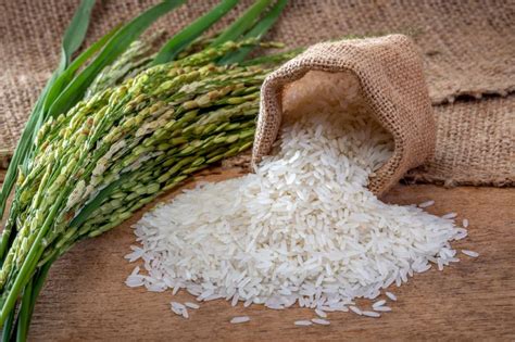 Rice Production In Ghana Why Is It Struggling Despite High Demand