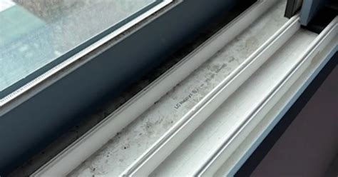 꼼꼼하게 설명도 잘해주시고 이사왔을때 체크해애야할 제가 놓치는 하자부분들도 설명잘해주셨습니다 시간약속도 잘지켜주시고 깔끔하게